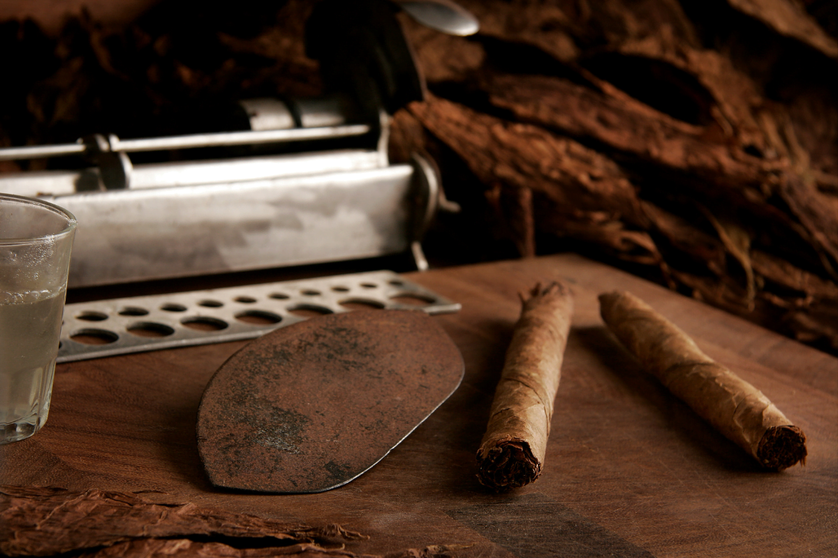 How to Select the Best Cigars for Your Humidor: A Guide to the Top Brands