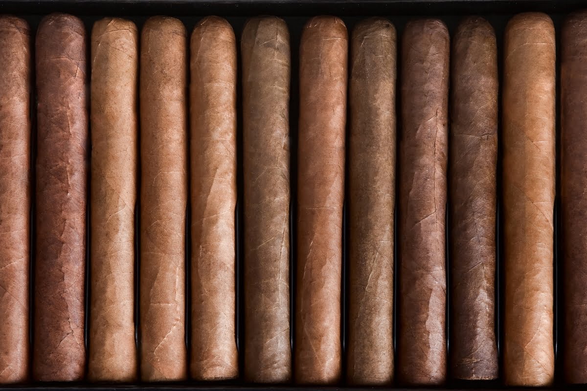 Uncovering the Origins: When Were Cigars Invented?